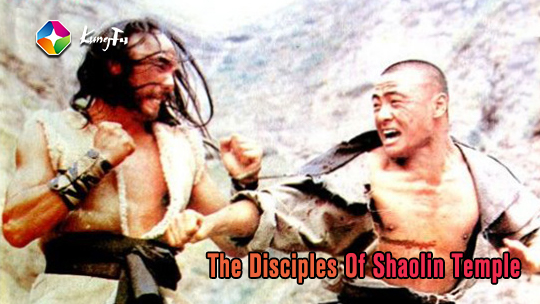The Disciples of Shaolin Temple